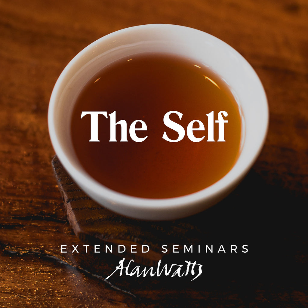 The Self Seminar Series - Alan Watts – Alan Watts Electronic University